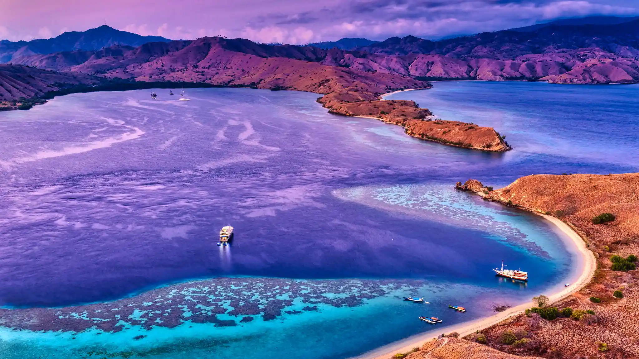 Immersive Cultural Experience in Komodo